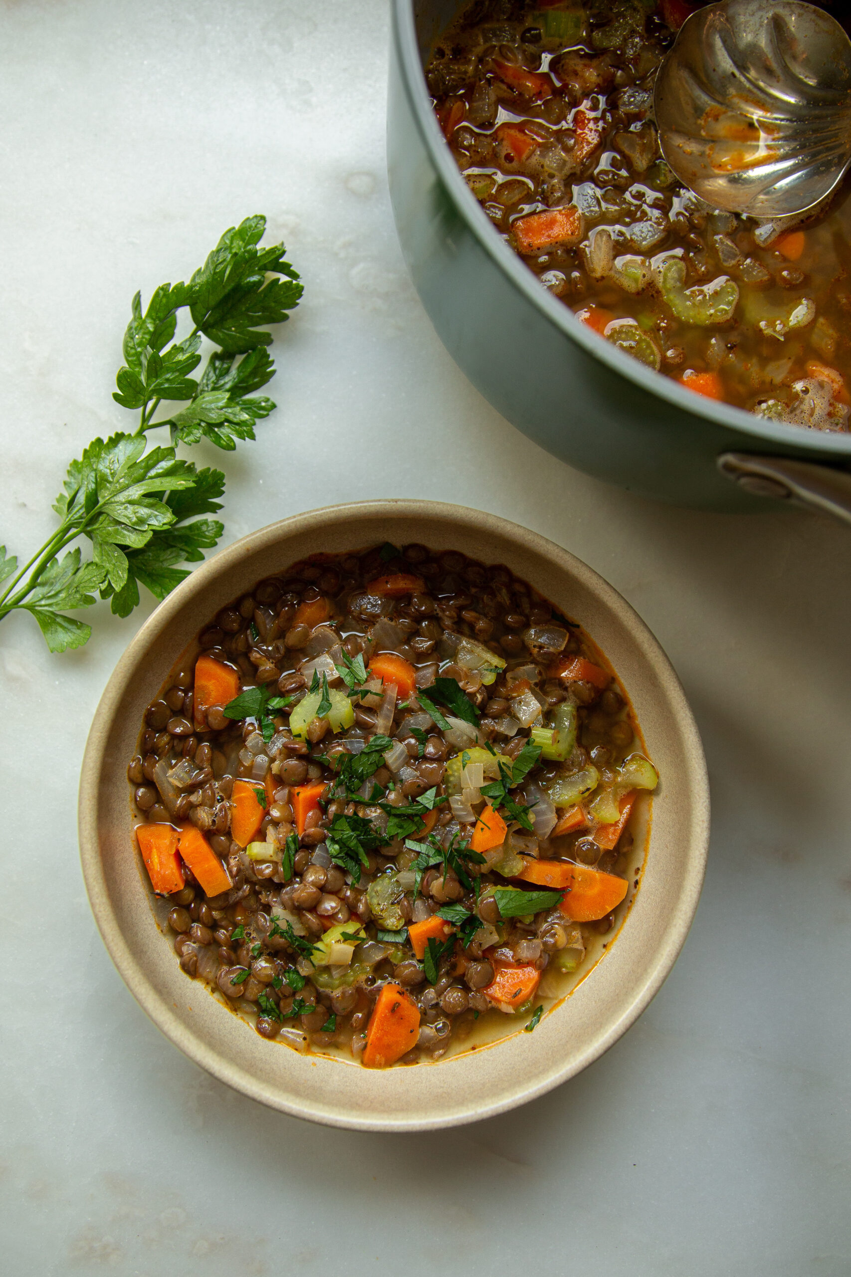 Quick Lentil Soup - The Plant Collective