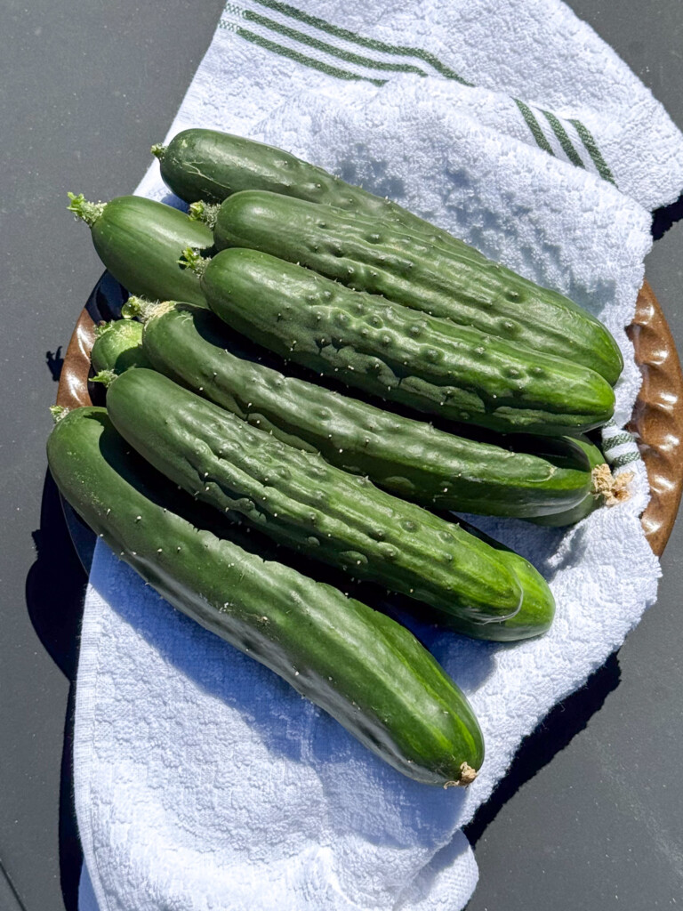 How to Make Fermented Pickles (No Vinegar!) for Gut Health - The Plant ...